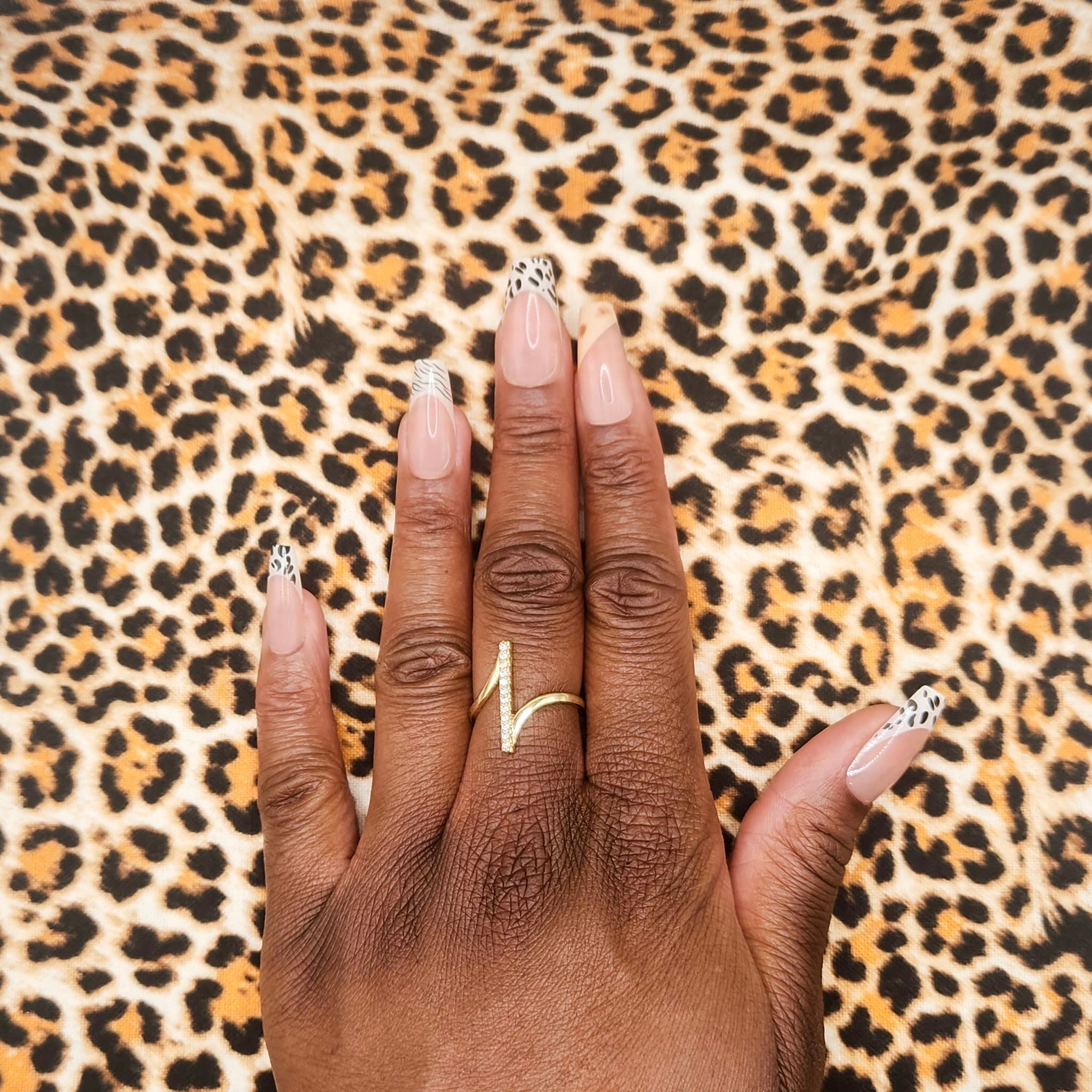 Animal Queendom | Animal Print Press-On Nails – Daringly Posh